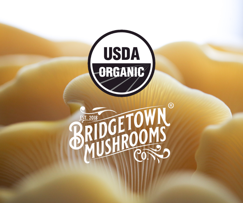 What it Means to be a Certified Organic Mushroom Farm – Bridgetown ...